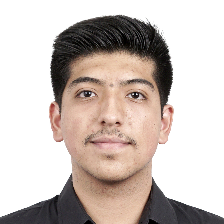 Alejandro Batres' CV